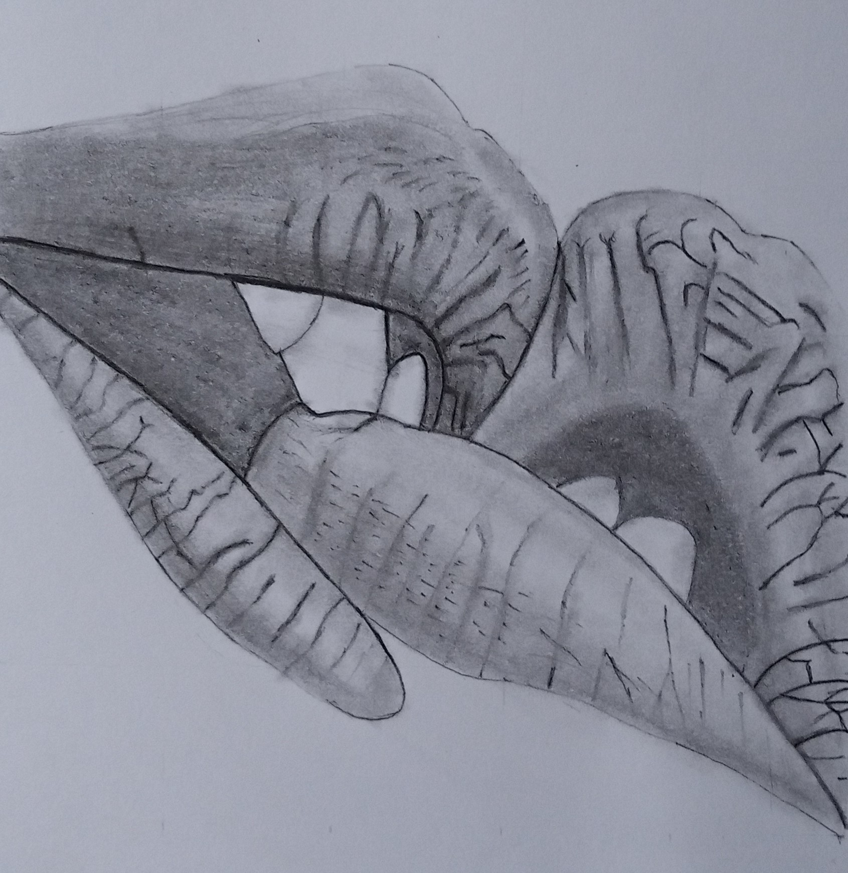 How To Draw Kissing Lips Step By Step